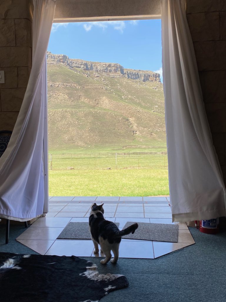 GALLERY – Mvemve Lodge at Grootpoort